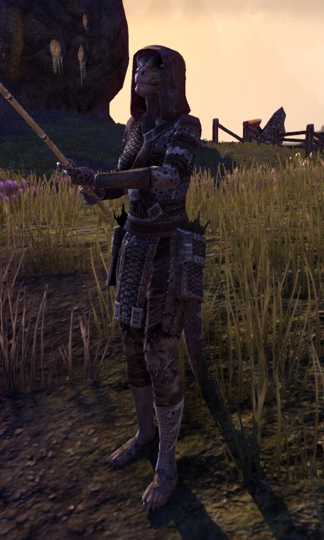 Teeba-Deesei | Wiki The Elder Scrolls | Fandom