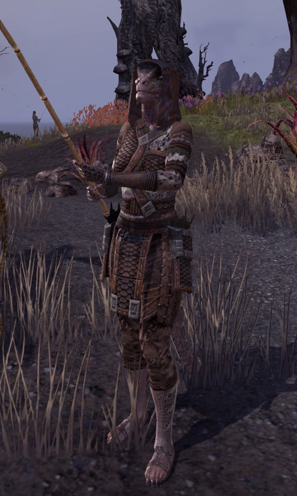 Teeba-Deesei | Elder Scrolls | Fandom