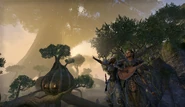 Grahtwood | Elder Scrolls | Fandom
