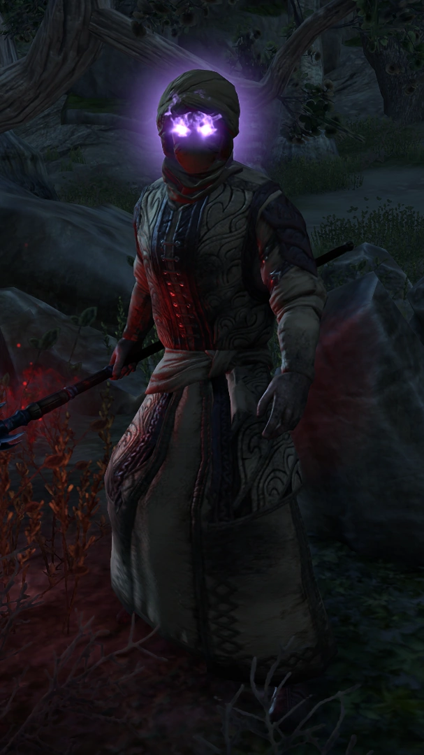 Mage d'effroi ranimé | Wiki The Elder Scrolls | Fandom