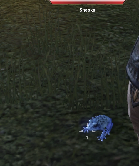 Snooks | Elder Scrolls | Fandom