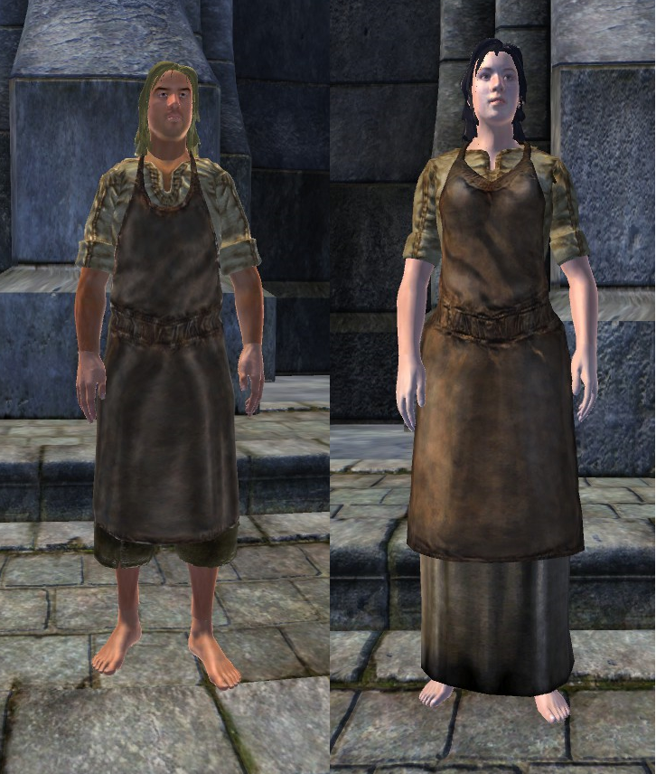 Фартук кузнеца Oblivion The Elder Scrolls Wiki Fandom