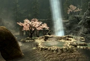 Ancestor Moth | Elder Scrolls | Fandom
