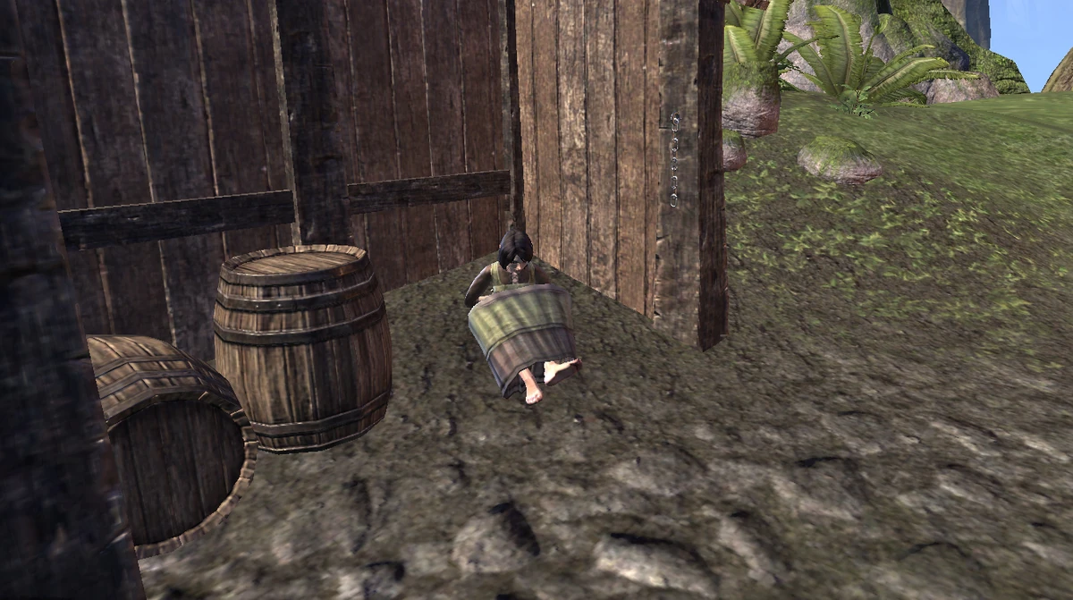 The Innkeeper's Daughter | Elder Scrolls | Fandom