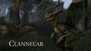 Clannfear (Online) | Elder Scrolls | Fandom