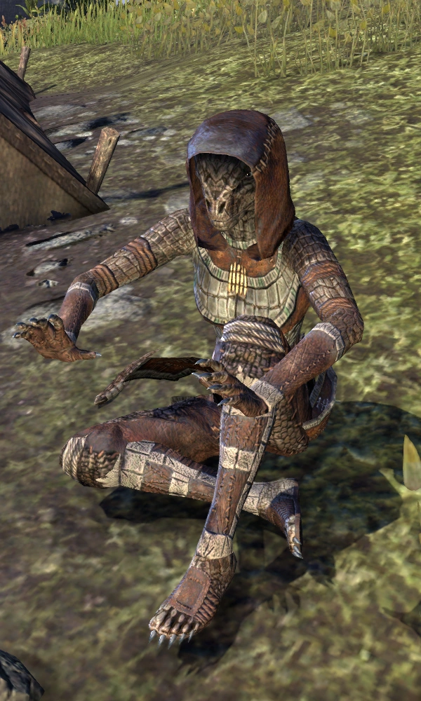 Category:Online: Hissmir Characters | Elder Scrolls | Fandom