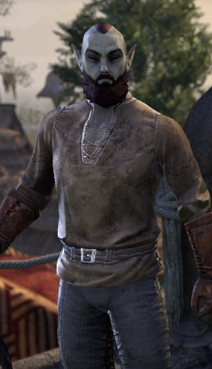 Medyn Hleran | Wiki The Elder Scrolls | Fandom