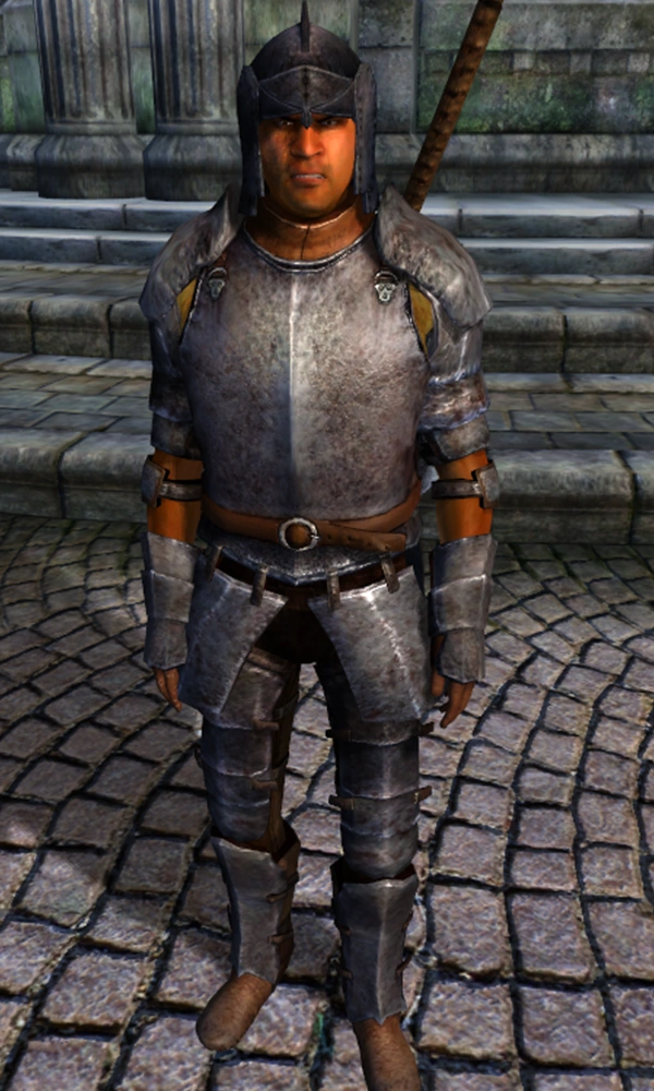 Arena Champion (Test Character) | Elder Scrolls | Fandom