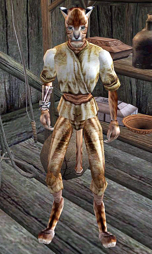 Arabhi | Elder Scrolls | Fandom