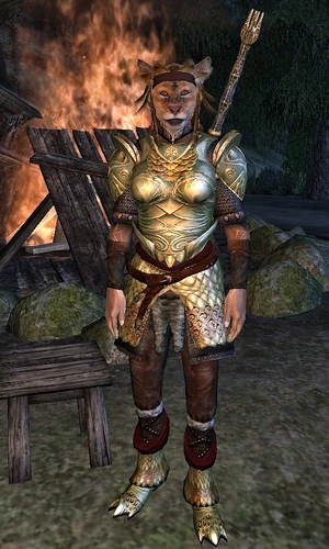 Ayisha | Elder Scrolls | Fandom