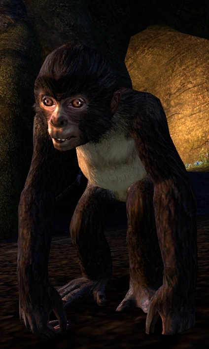 Nuttall | Elder Scrolls | Fandom