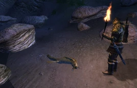 Pesca | Elder Scrolls | Fandom