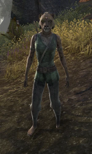 Shandi | Elder Scrolls | Fandom