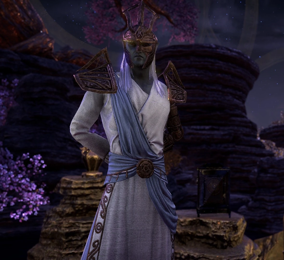 Сота Сил (персонаж) | The Elder Scrolls Wiki | Fandom