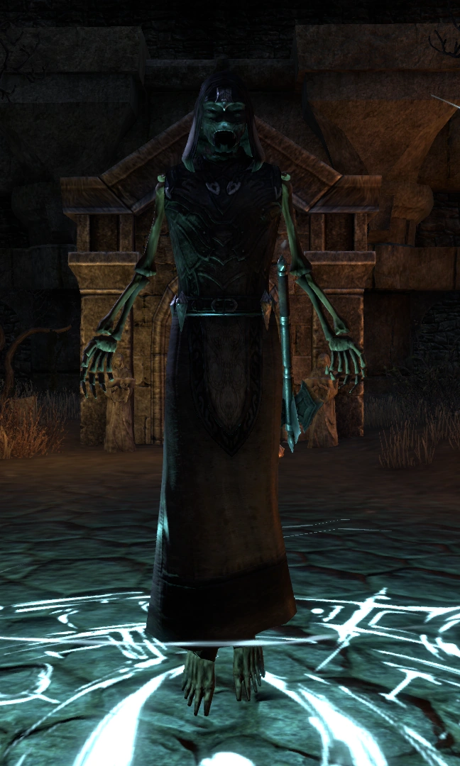 Ermite du ver | Wiki The Elder Scrolls | Fandom