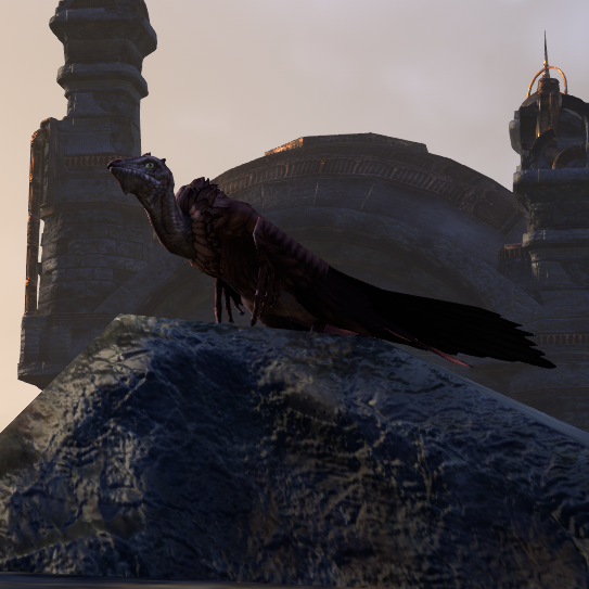 Fonceur Des Falaises Wiki The Elder Scrolls Fandom