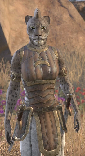 Sulema | Elder Scrolls | Fandom