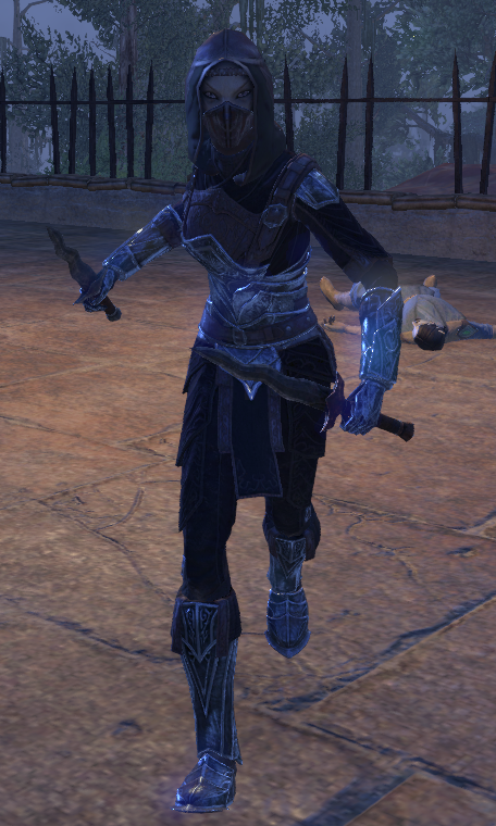 Hired Assassin Elder Scrolls Fandom