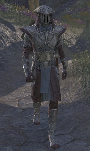 House Guard | Elder Scrolls | Fandom