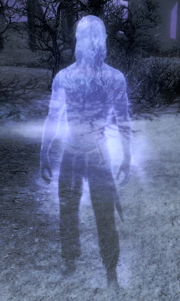 Category:Dawnguard: Dunmer | Elder Scrolls | Fandom