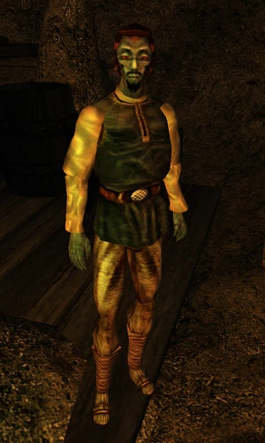 Llevel Seri | Elder Scrolls | Fandom