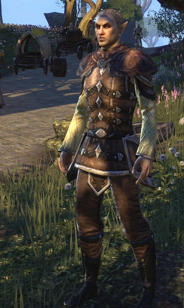 Malkar (Tanzelwil) | Elder Scrolls | Fandom