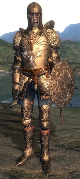 Blackwood Armor | Elder Scrolls | Fandom