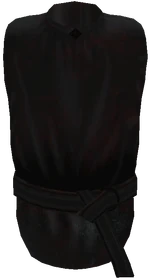 Robes (Oblivion) | Elder Scrolls | Fandom