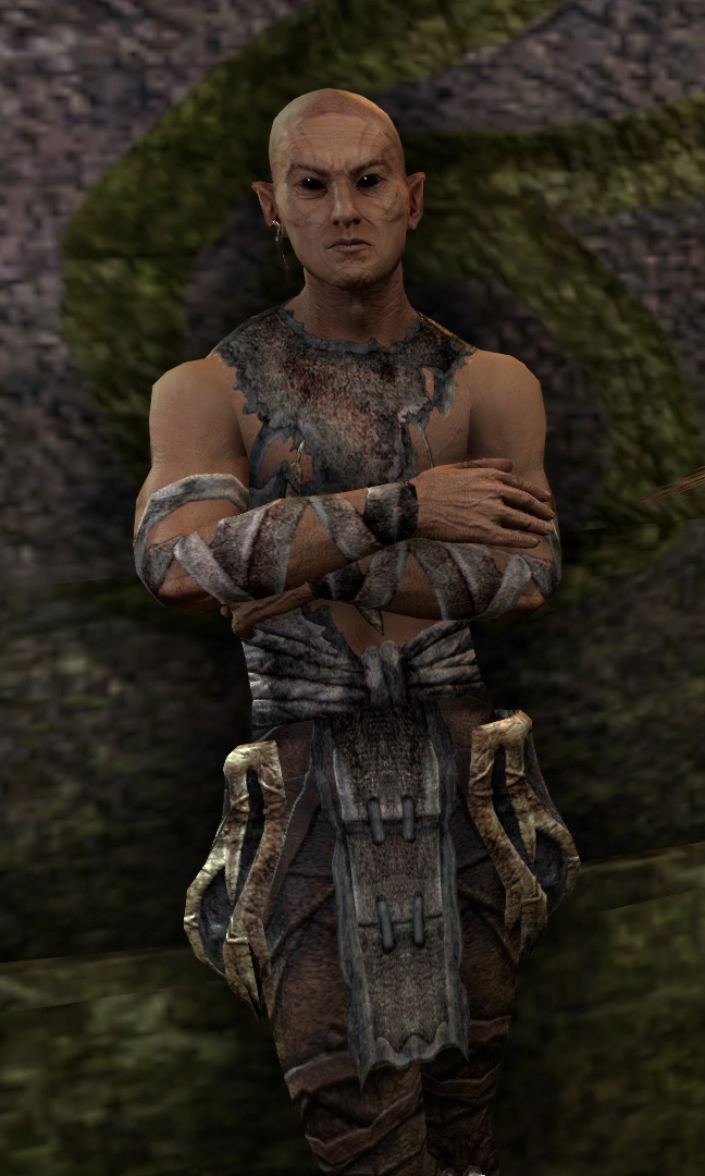 Ording | Wiki The Elder Scrolls | Fandom