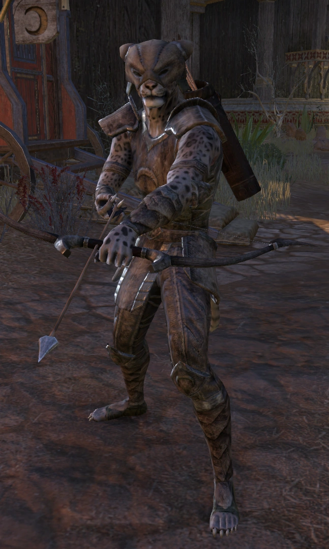 Rôdeur malade | Wiki The Elder Scrolls | Fandom