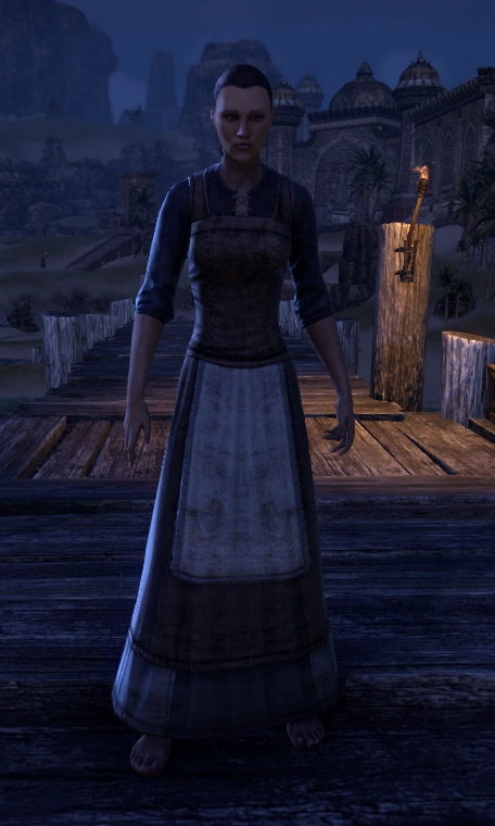 Badri | Wiki The Elder Scrolls | Fandom