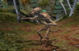 Hunger (Shivering Isles) | Elder Scrolls | Fandom