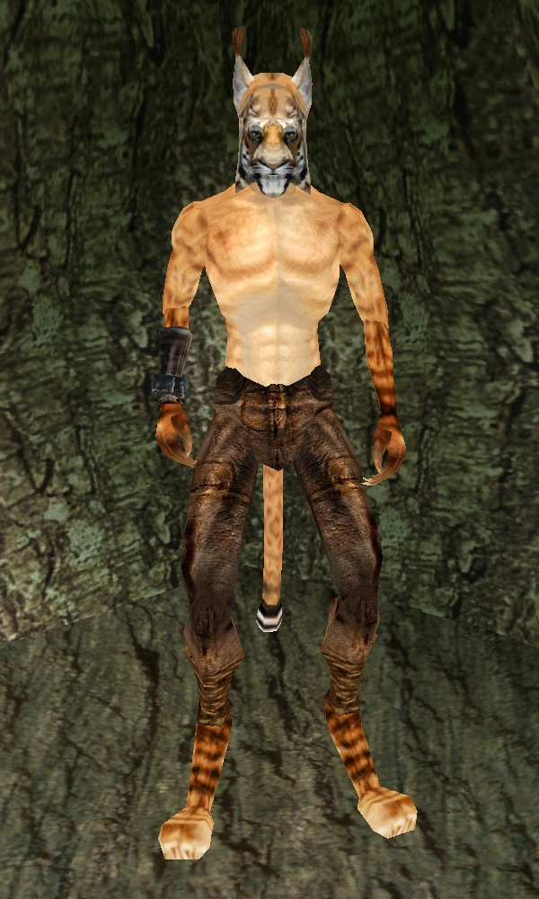 S'Bakha | Elder Scrolls | Fandom