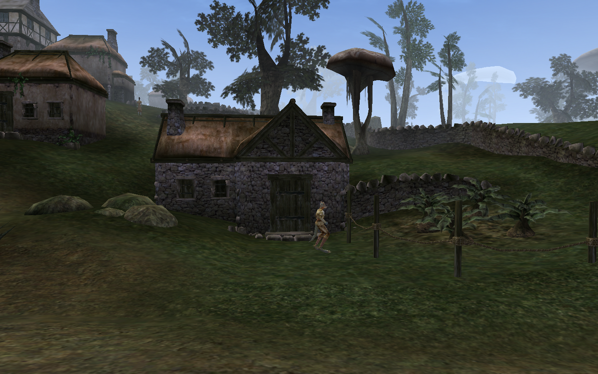 Дом Игнатиуса Флаккуса Пелагиад The Elder Scrolls Wiki Fandom