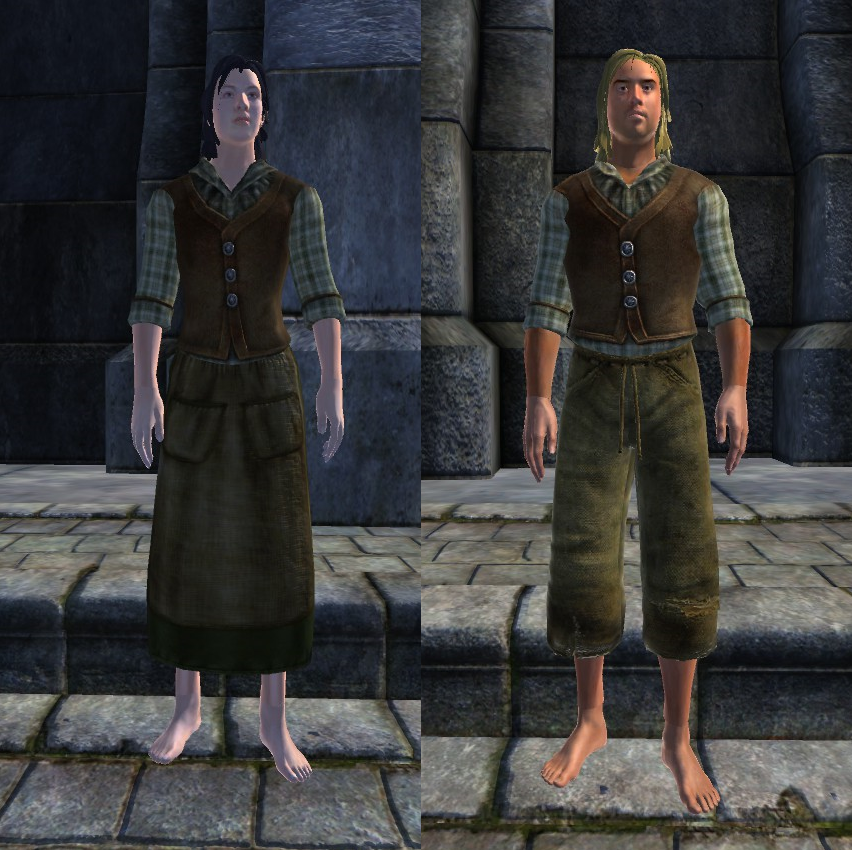 Клетчатая рубашка The Elder Scrolls Wiki Fandom
