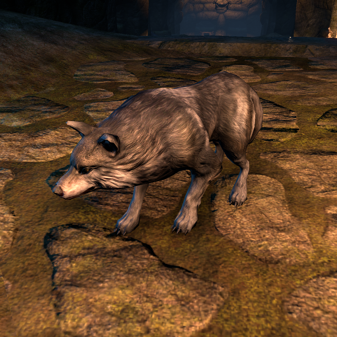 Aspect Du Loup Wiki The Elder Scrolls Fandom