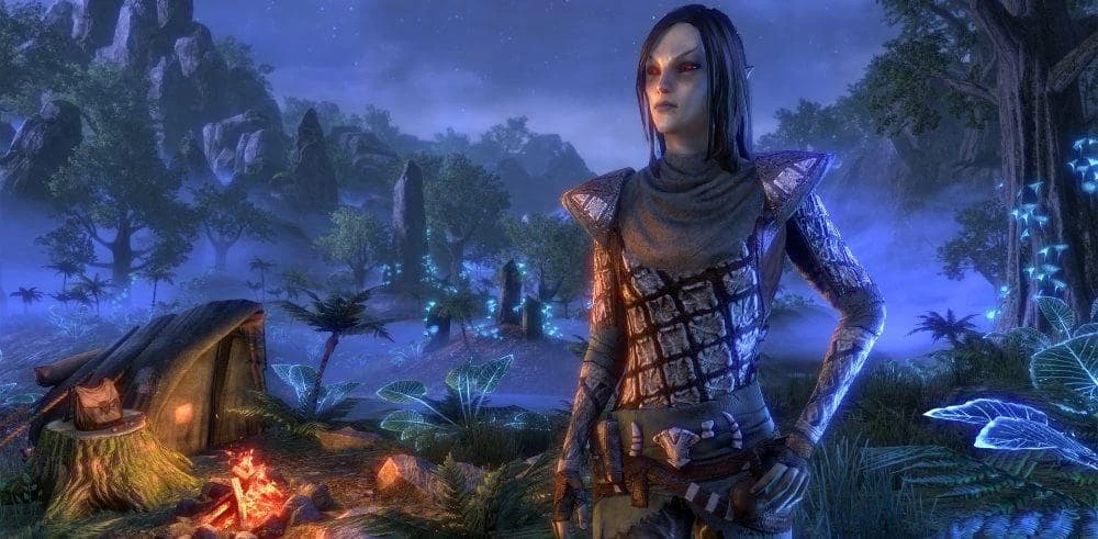 Meet the Character - Hanu | Elder Scrolls | Fandom