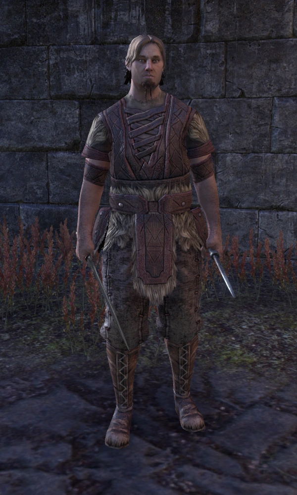 Nord Envoy | Elder Scrolls | Fandom