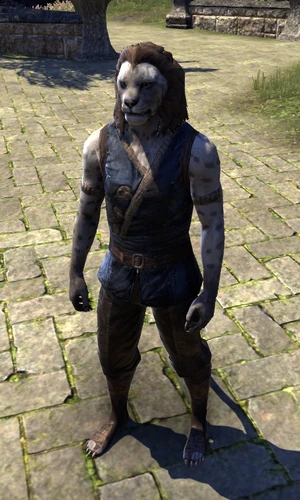 Zaban | Wiki The Elder Scrolls | Fandom