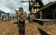 Master Robes of Destruction | Elder Scrolls | Fandom