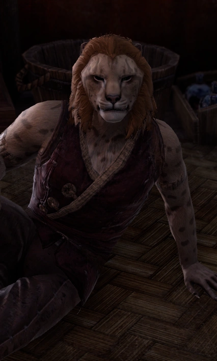 Raban | Wiki The Elder Scrolls | Fandom