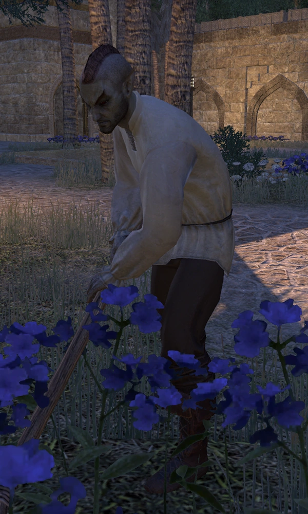 Rindral Uvalas | Elder Scrolls | Fandom