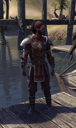 Watchman Pierjean | Elder Scrolls | Fandom