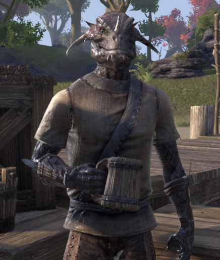 Пьёт за Плавания The Elder Scrolls Wiki Fandom