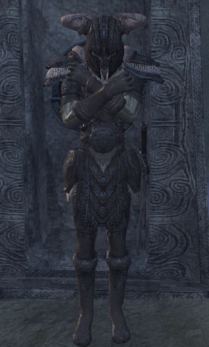 Draugr Champion | Elder Scrolls | Fandom