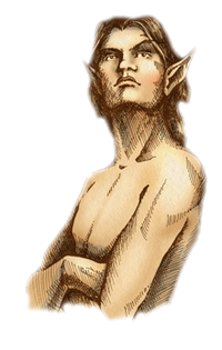 Bosmer (Oblivion) | Elder Scrolls | Fandom