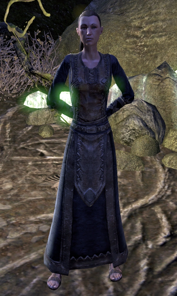 Eveline Vette | Elder Scrolls | Fandom