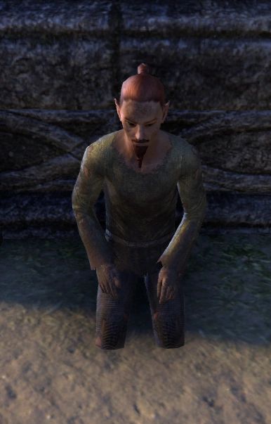 Galbor | Wiki The Elder Scrolls | Fandom