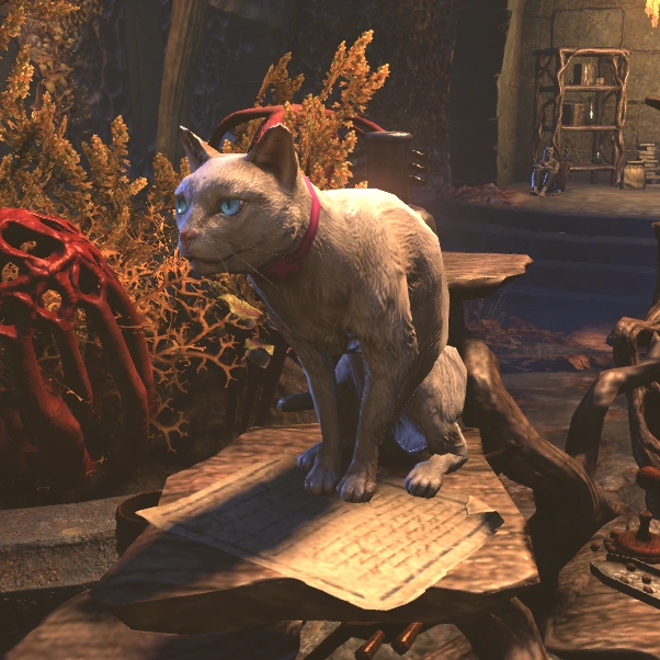 Gemma | Wiki The Elder Scrolls | Fandom