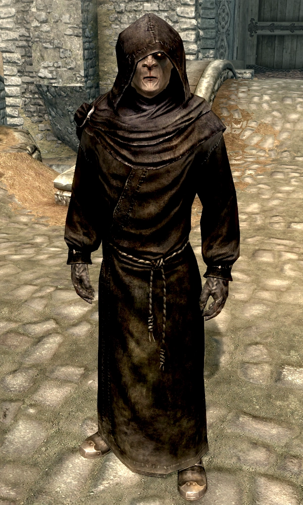 Traveler | Elder Scrolls | Fandom